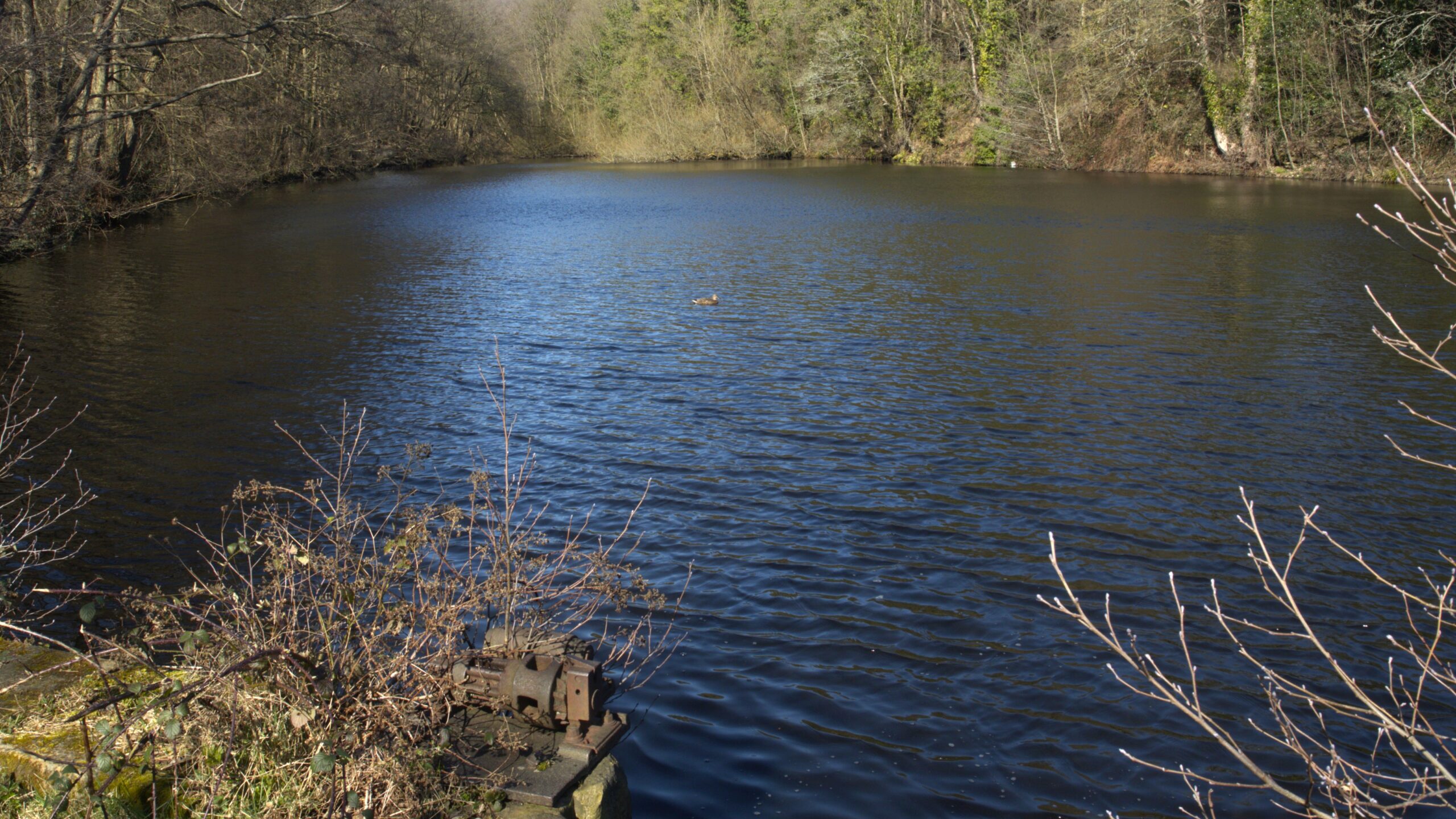 Loxley valley water power heritage sites: Wisewood Forge - Friends of ...